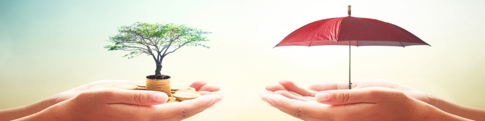 Importance of Insurance: Why Insurance is Essential | IDFC FIRST Academy